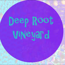 Deep Root Vineyard